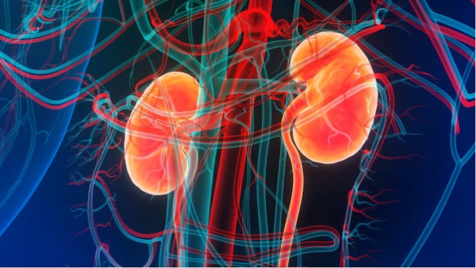 Diabetes e os rins | Preserve seus rins